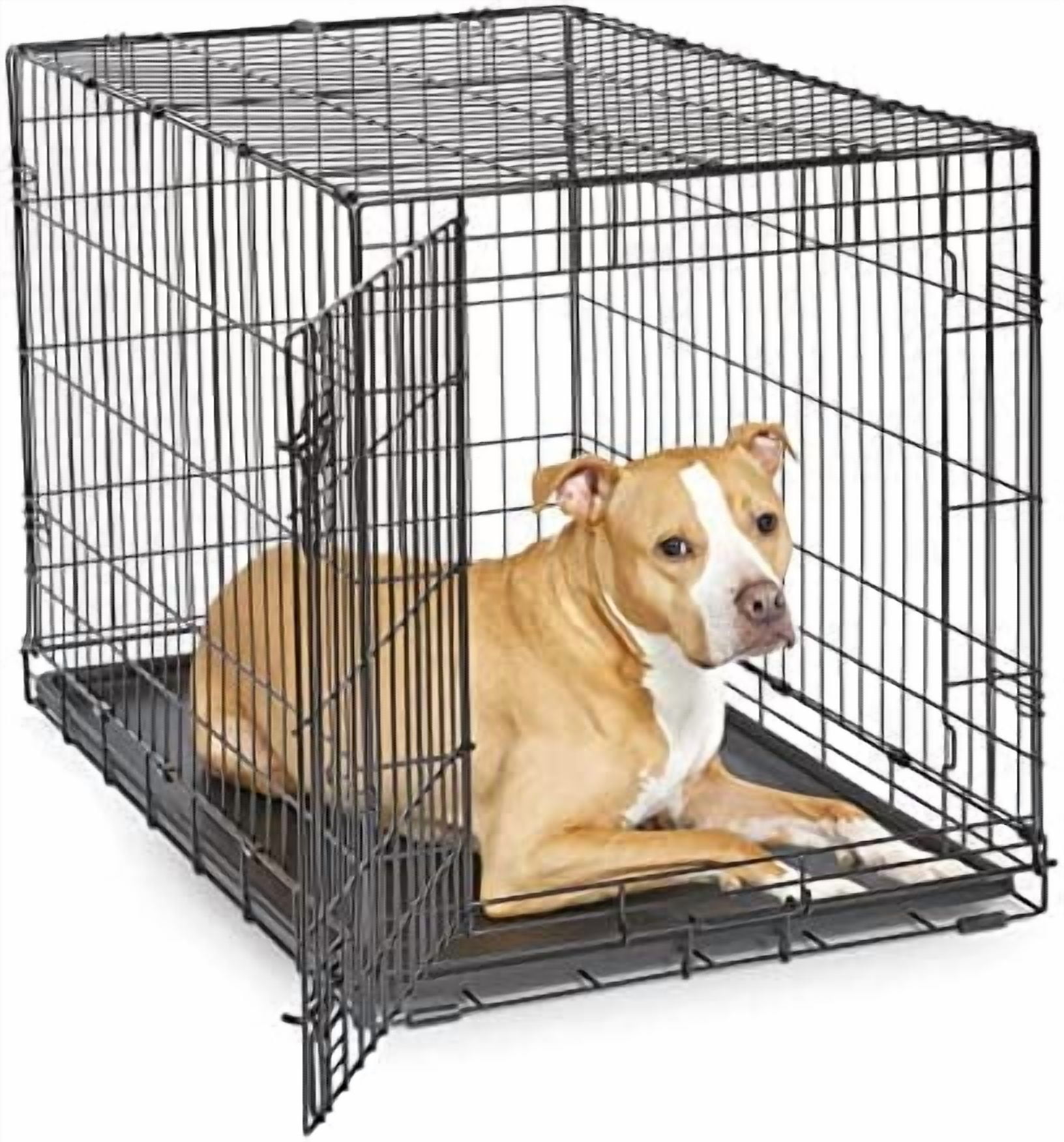 Single Door Folding Metal 36-Inch Dog Crate, Includes Leak-Proof Pan ...