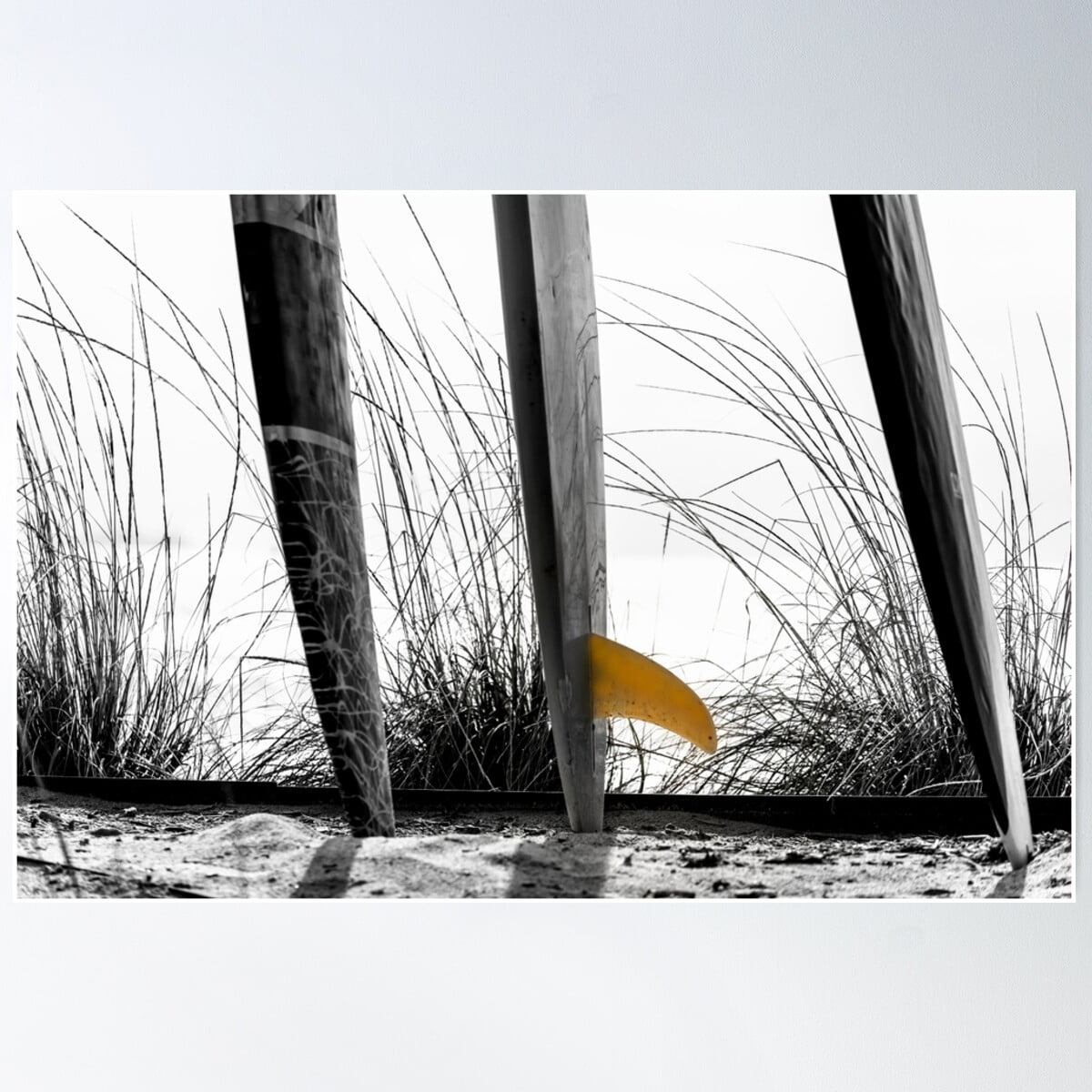 Single Fin With Selective Color Poster Wall Art, Modern Wall Decor For ...