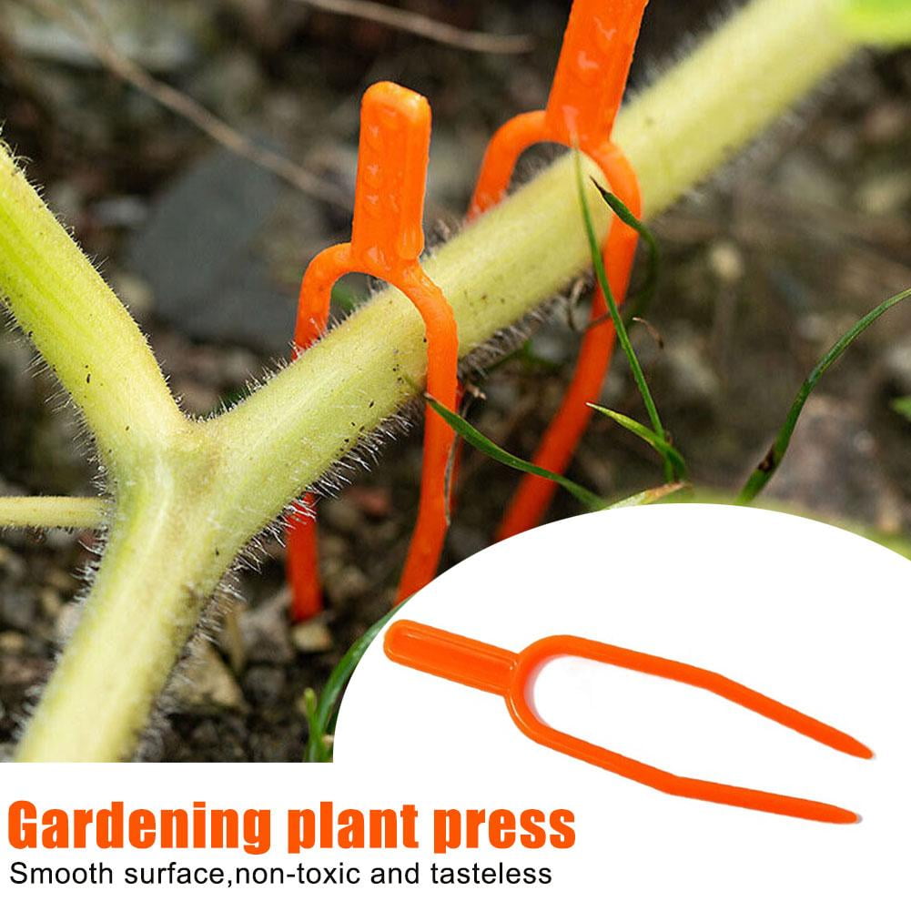 Single Gardening Plant Vine Press Creeper Fixing Clip Strawberry ...