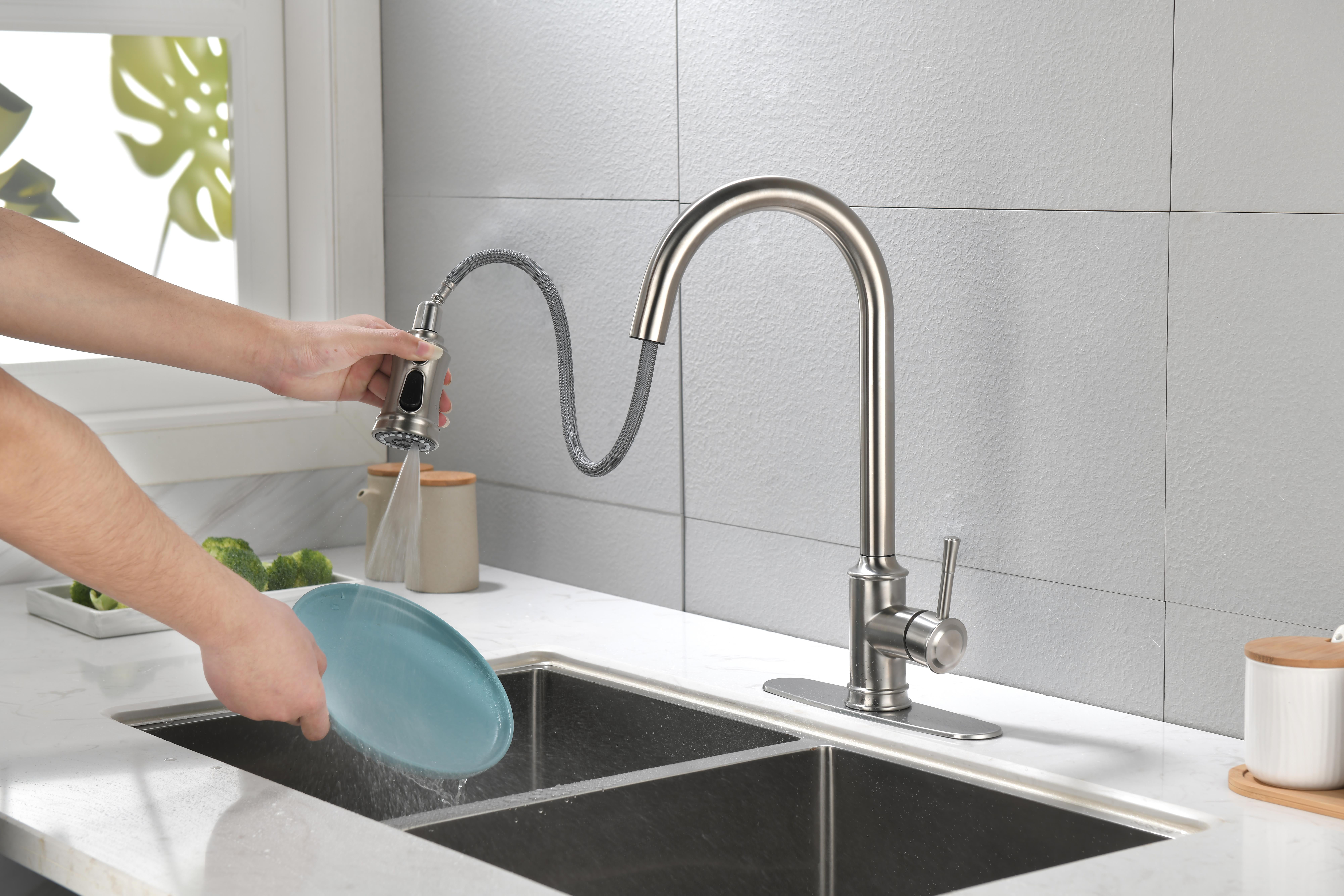 Single Handle High Arc Pull Out Kitchen Faucet,Single Level Stainless ...