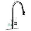 OakBrook Pacifica One Handle Kitchen Faucet with Pullout Sprayer ...