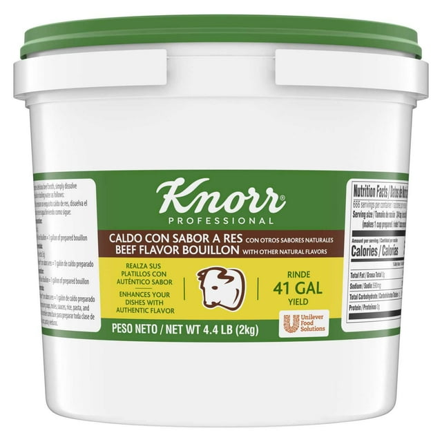 Single Knorr Professional Caldo De Res Beef Bouillon Base, 4.4 Pound ...