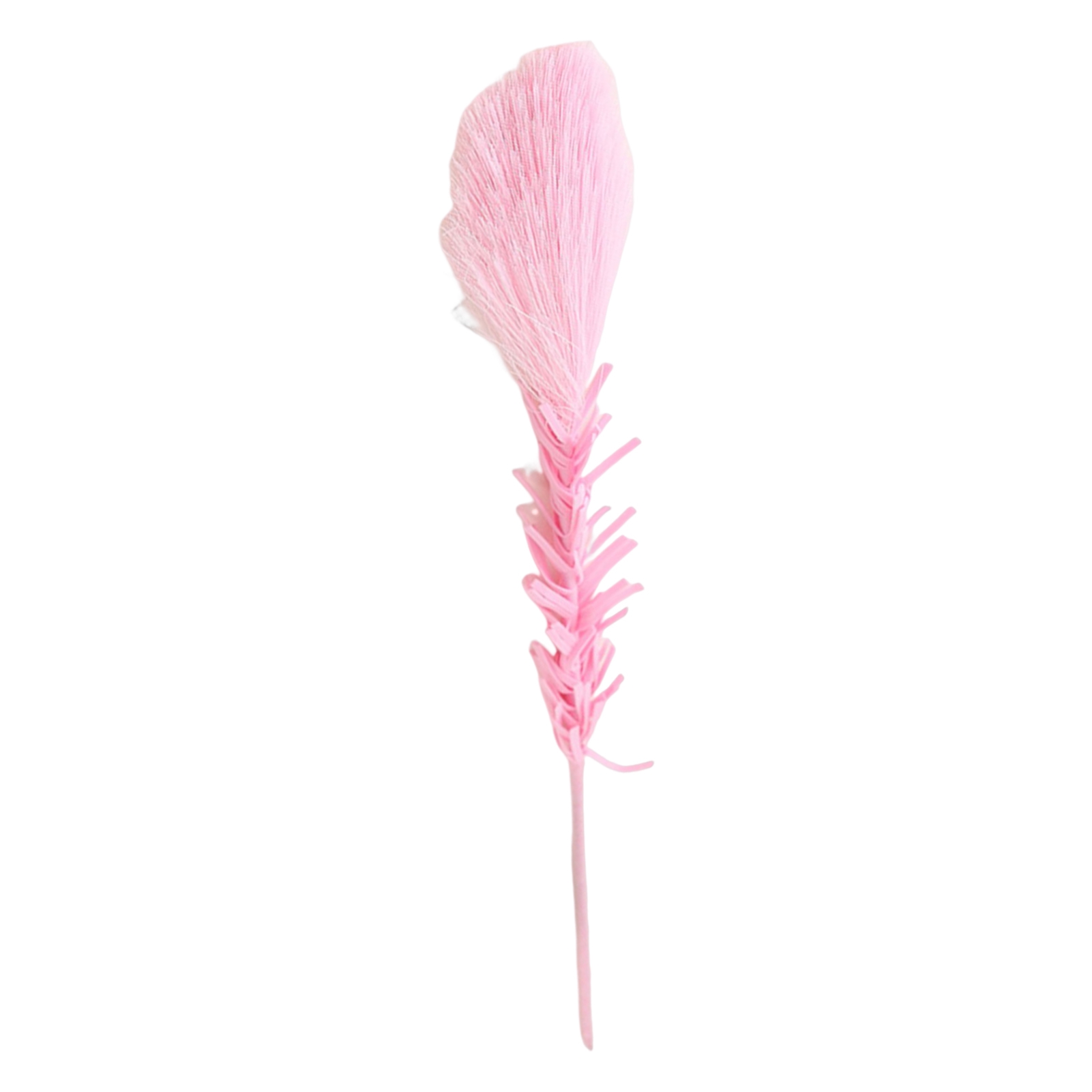 Single Pampas Grass Non-fading Not Withered Wedding Decor Multicolor ...