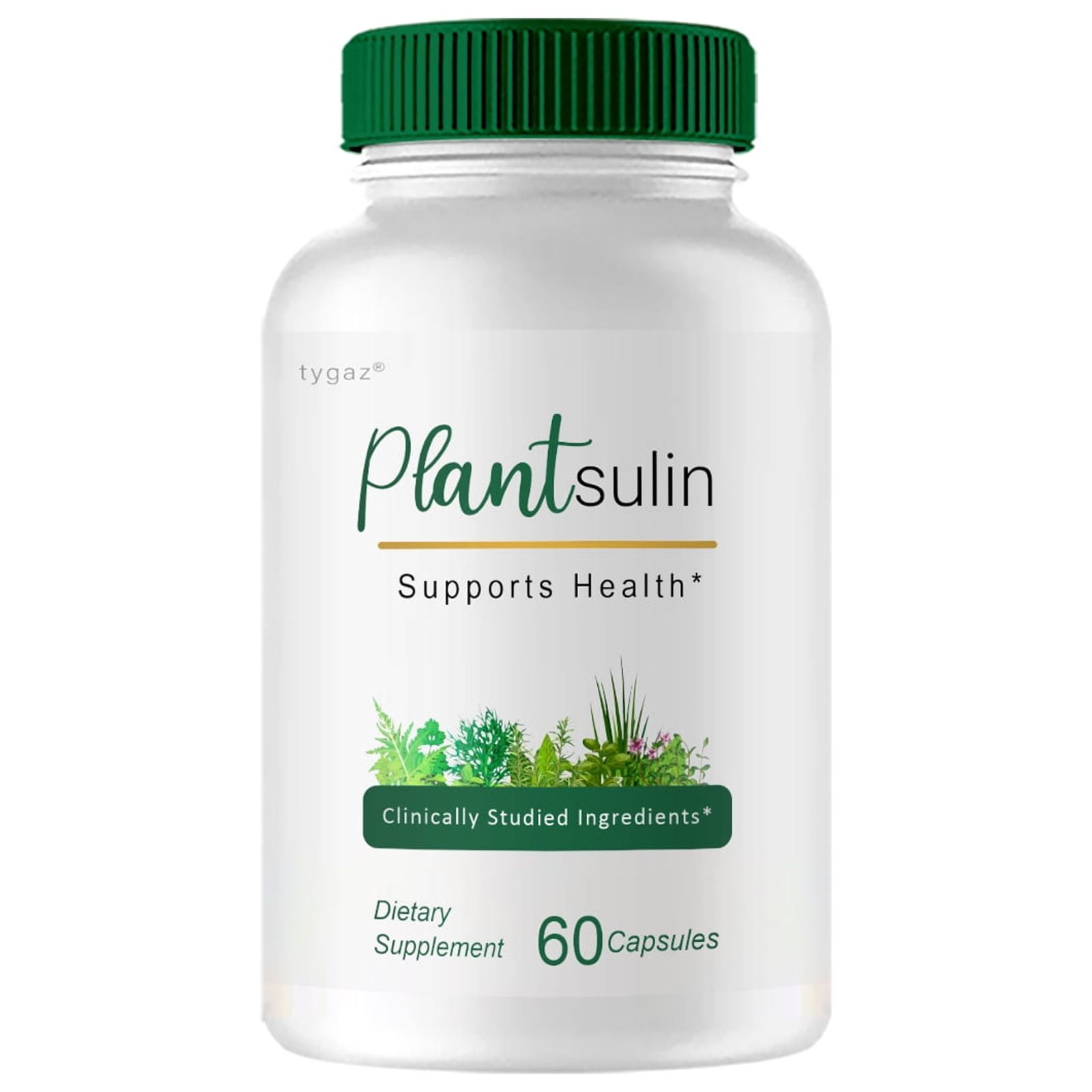 Tygaz Plantsulin Capsules, 60 Count, Blood Glucose Metabolism Support ...