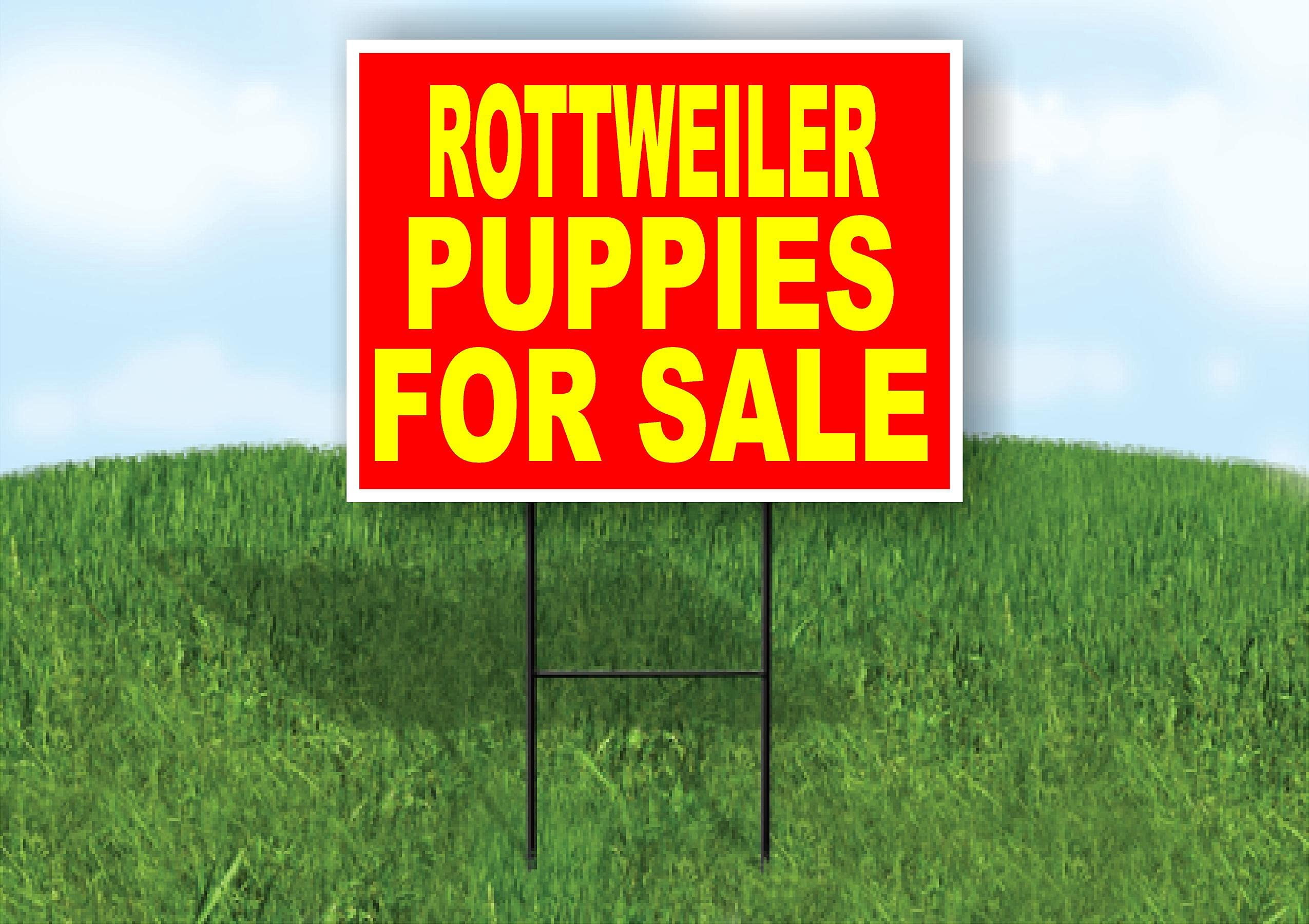 Single Sided Sign Rottweiler PUPPIES FOR SALE YELLOW RED BACKGROUND ...