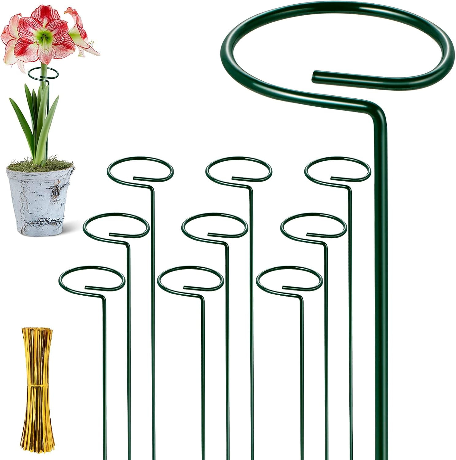 Single Stem Flower Supports, 10 Pack 16", Weather-Resistant Rust-Proof ...