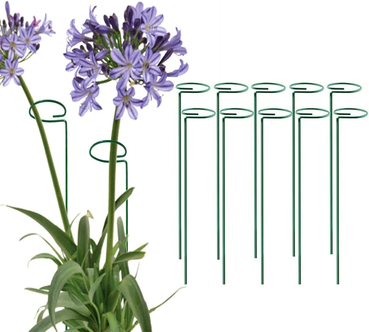 Single Stem Plant Stakes Flower Support Rings, Pack of 10 Plant Support ...