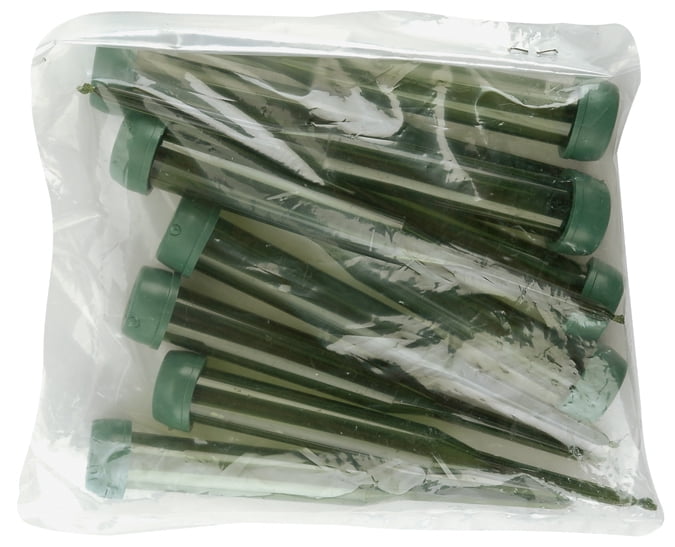 Single Stem Water Picks 4.75 Inches Green - Walmart.com