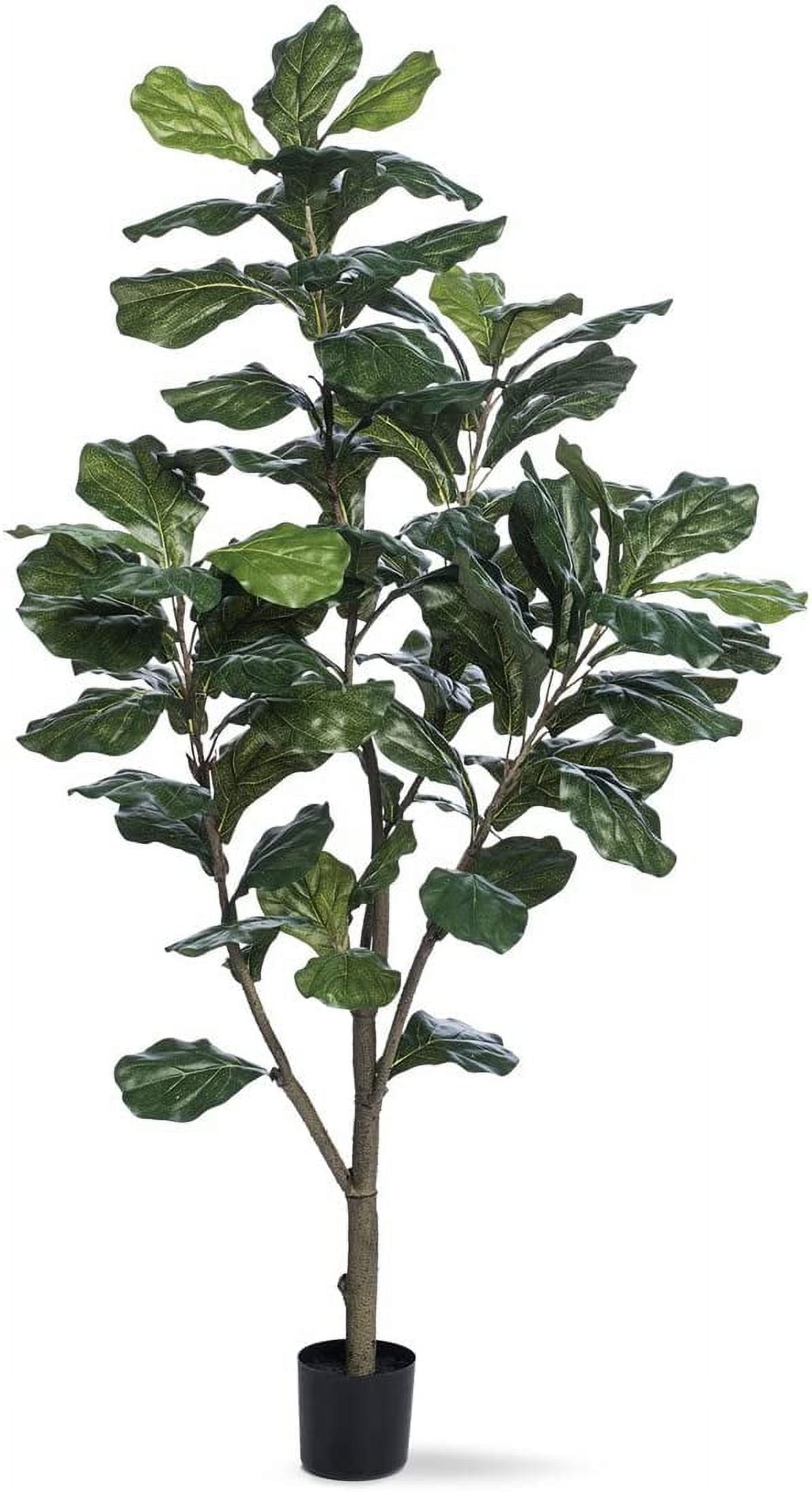 Single Trunk Fiddle Leaf Fig Silk Tree (5 Foot) - Walmart.com
