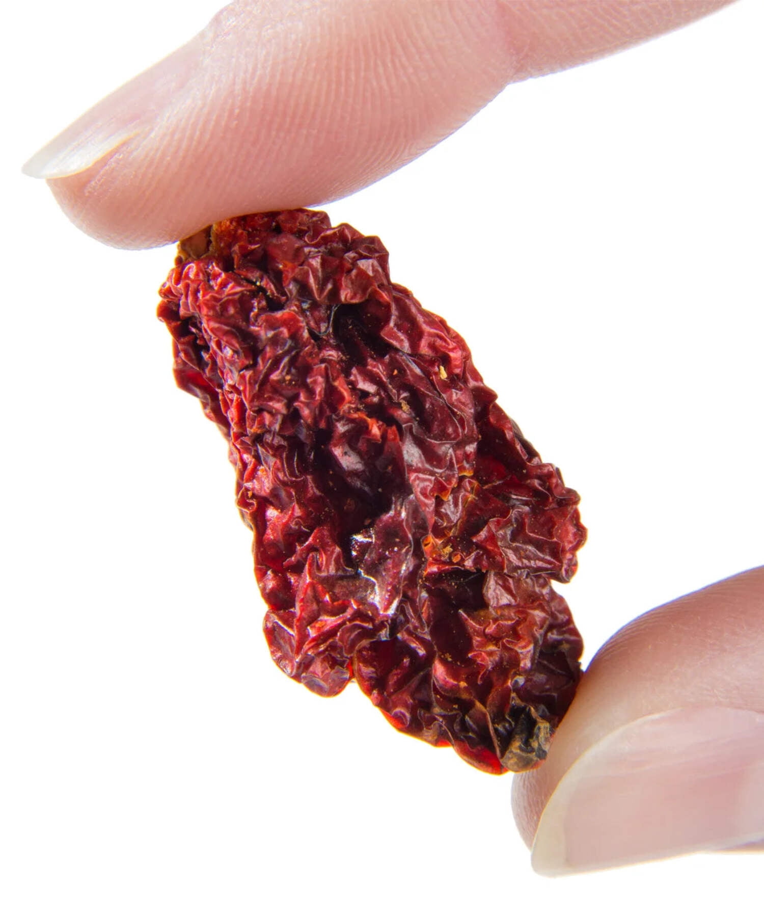 Meat Maniac, Single Whole Carolina Reaper Pepper, Hot Spicy Chile ...