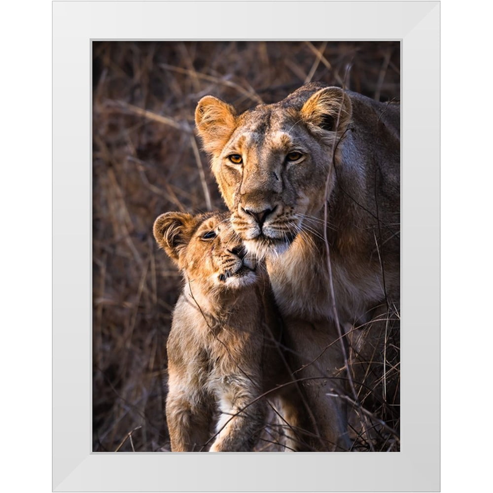 Singodia, Kanchan 15x18 White Modern Wood Framed Museum Art Print ...