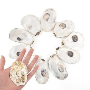 25 Clam Shell Disposable Aluminum Foil Clam Food Shells Seafood ...