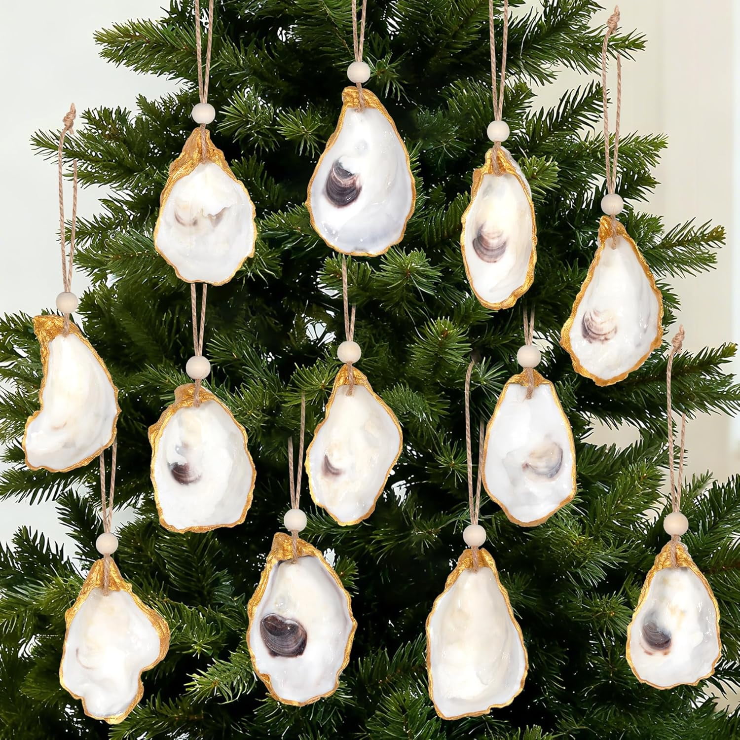 Sinkoo 12pcs Oyster Shells Ornaments, Concave Oyster Shells with ...