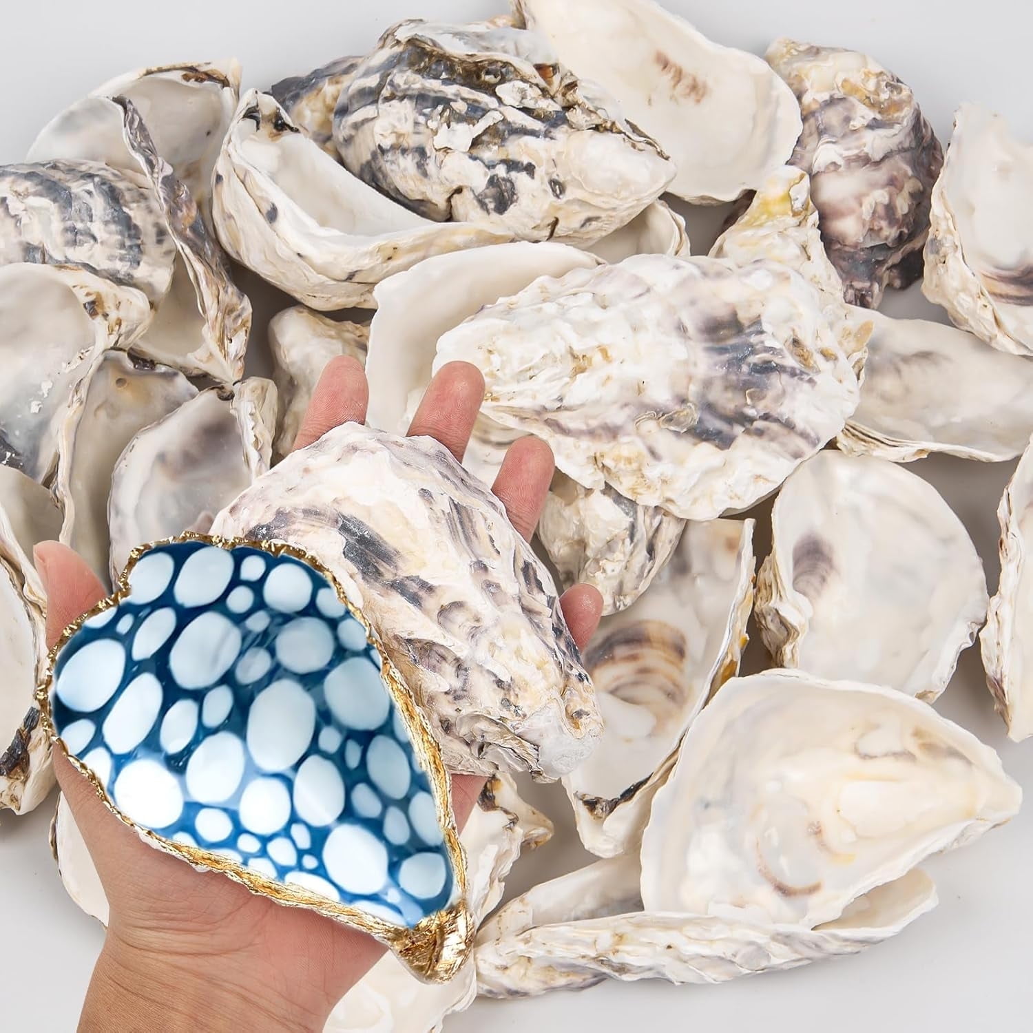 Sinkoo 15Pcs Oyster Shells 4"-5" Large Concave Oyster Shells for Crafts ...