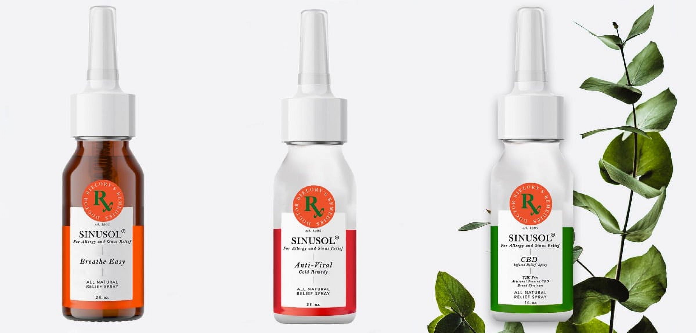 Sinusol® Winter Fresh 2 oz (Sinus Spray) - Walmart.com