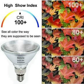 Halogen light Bulbs - Walmart.com