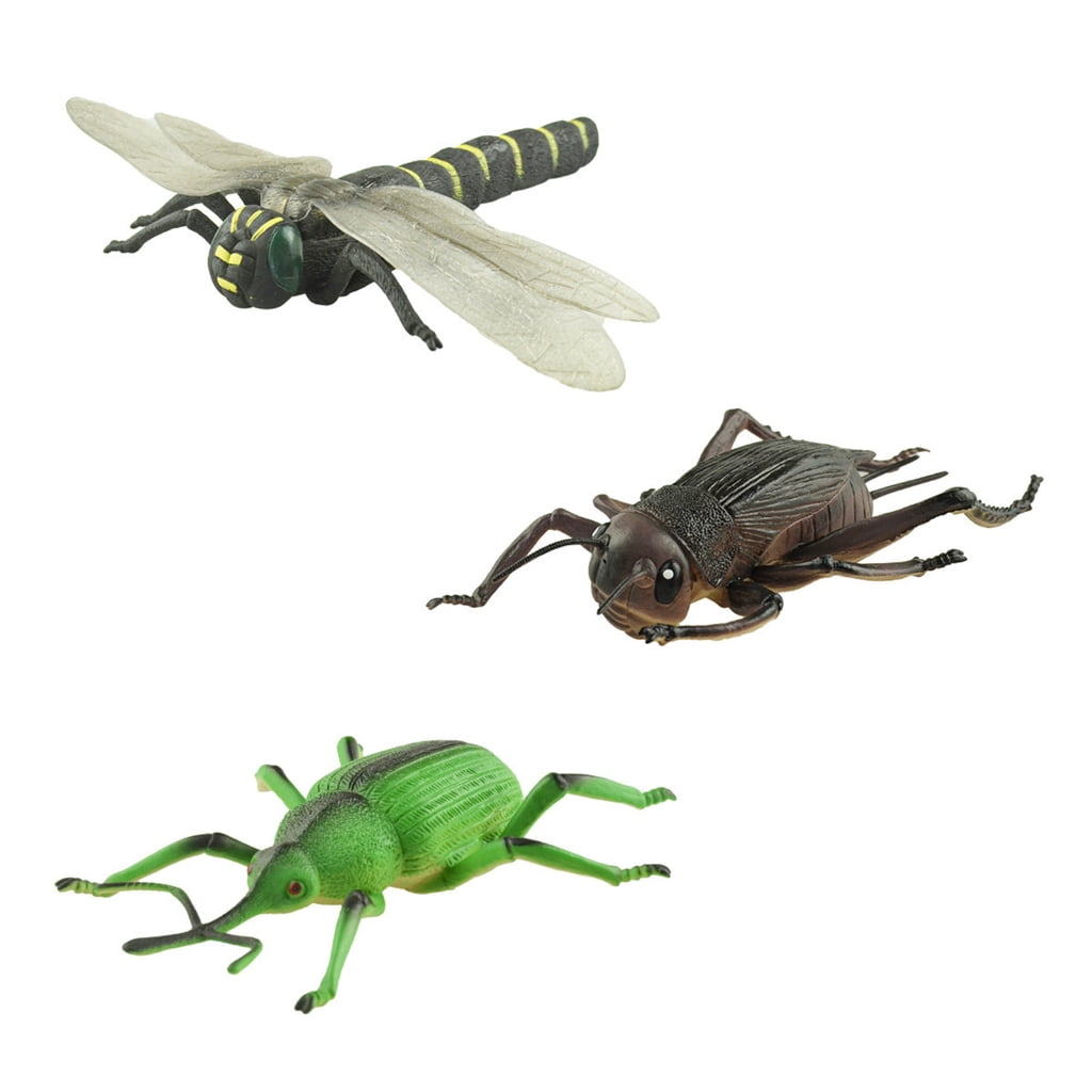 Sinyiin 3x Realistic Insect Model Figurine For Kids Science Learning ...