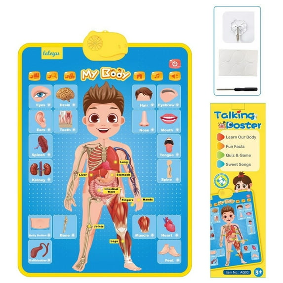 Sinyiin Multisensory English Vocabulary Poster for Preschoolers Visual ...