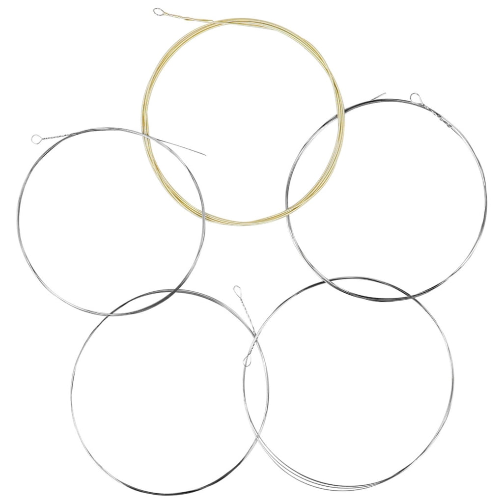 Sinyiin Stainless Steel and Bronze Winding Banjo Strings Banjo ...