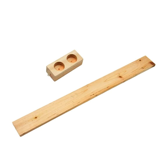 Sinyiin Wood Friction Plate Mechanics Experiment Demonstrator Physics ...