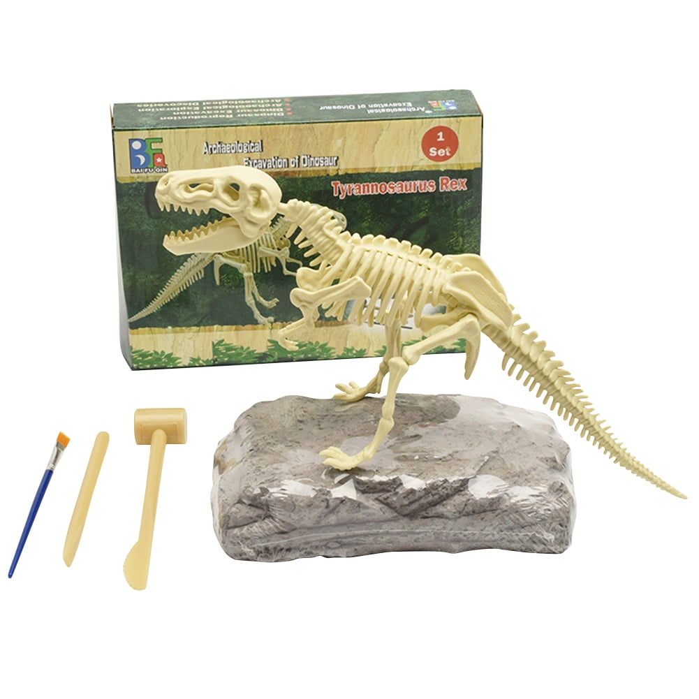 Sioweci Dinosaur Fossil Skeleton Excavation Dig up Kit DIY Assembly ...
