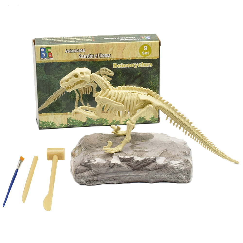 Sioweci Dinosaur Fossil Skeleton Excavation Dig up Kit DIY Assembly ...