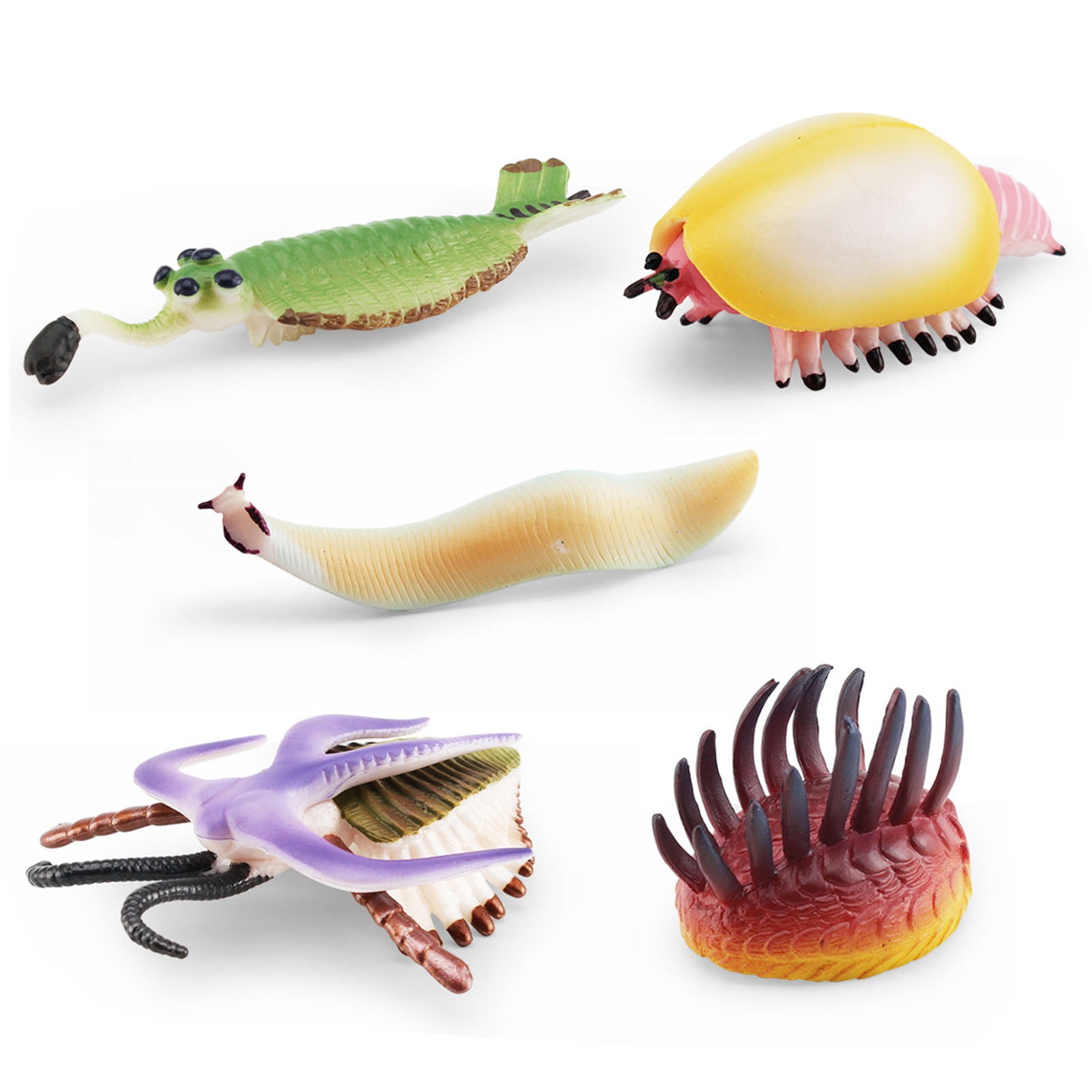 Sioweci Sea Animal Model Vivid Look Realistic Pikaia Wiwaxia Miniature ...