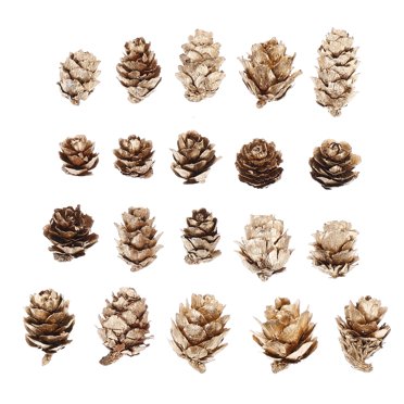 kiskick 20Pcs Mini Decorative Fake Pine Cones, Small DIY Craft for Home ...