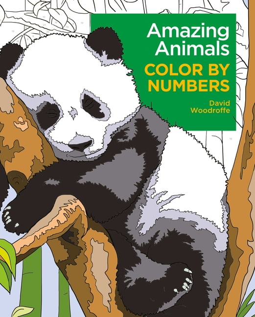 Sirius Color by Numbers Collection Amazing Animals Color by Numbers ...