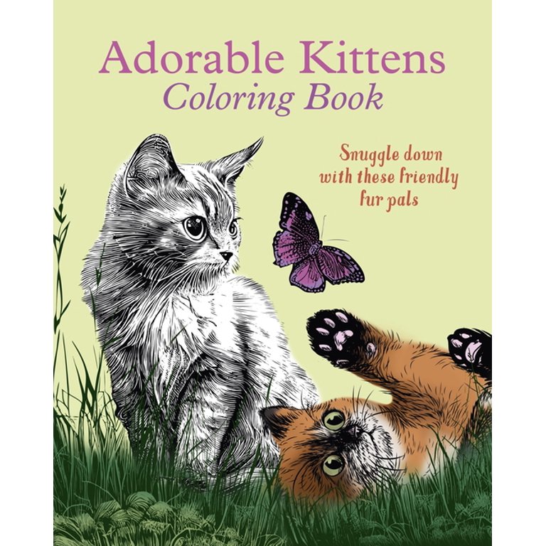 ginger coloring book