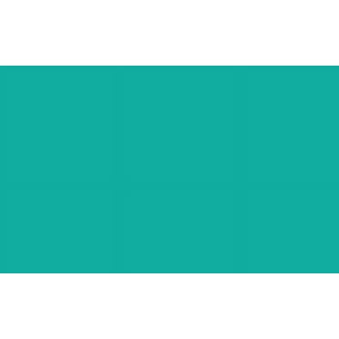 Siser EasyPSV™ Permanent Self Adhesive Permanent Craft Vinyl 12" x 5ft ...