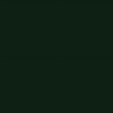 Siser EasyWeed HTV Iron On Heat Transfer Vinyl 15" x 12" 5 Precut ...