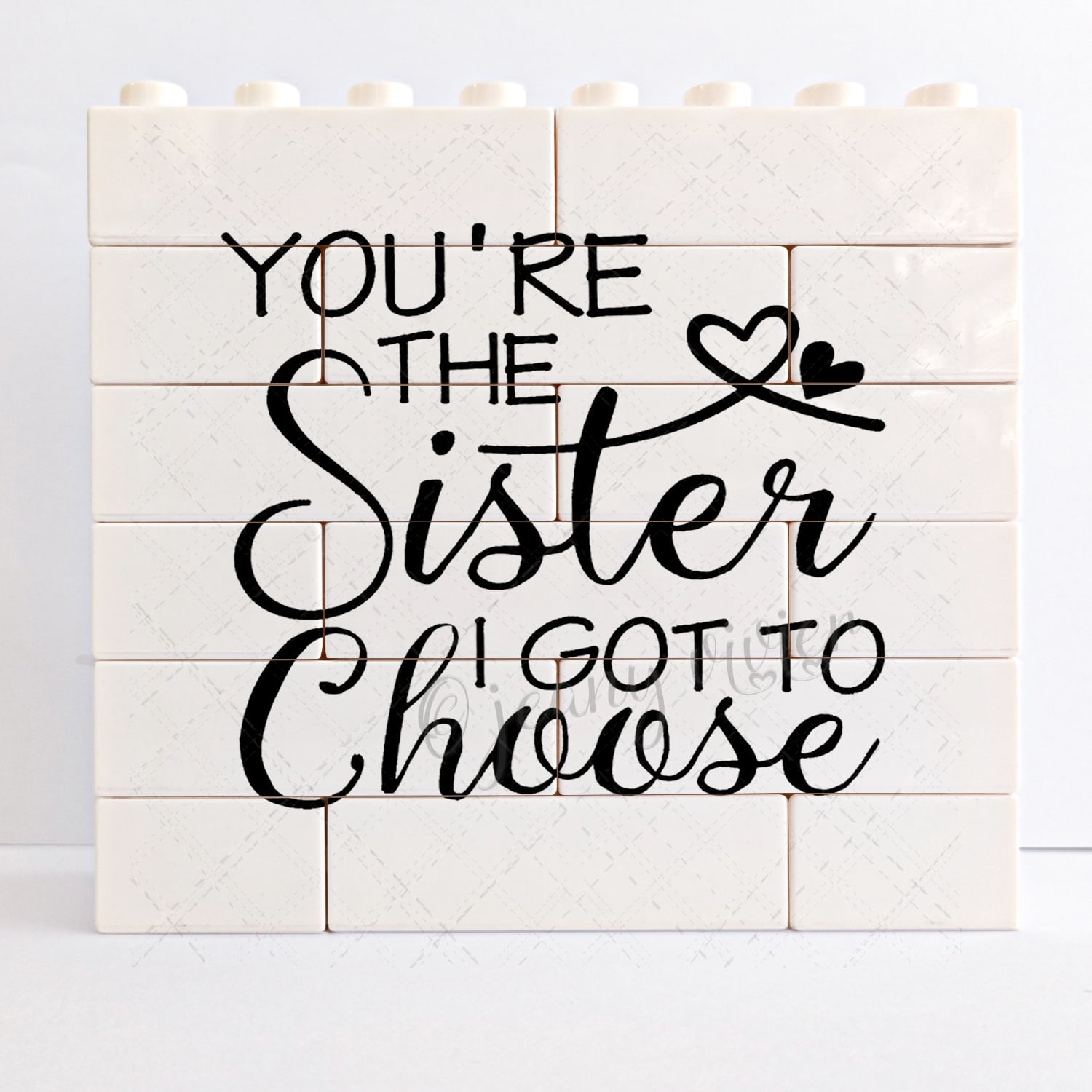 Sister Gifts for Women from Sister, You Are The Sister I Got to Choose ...