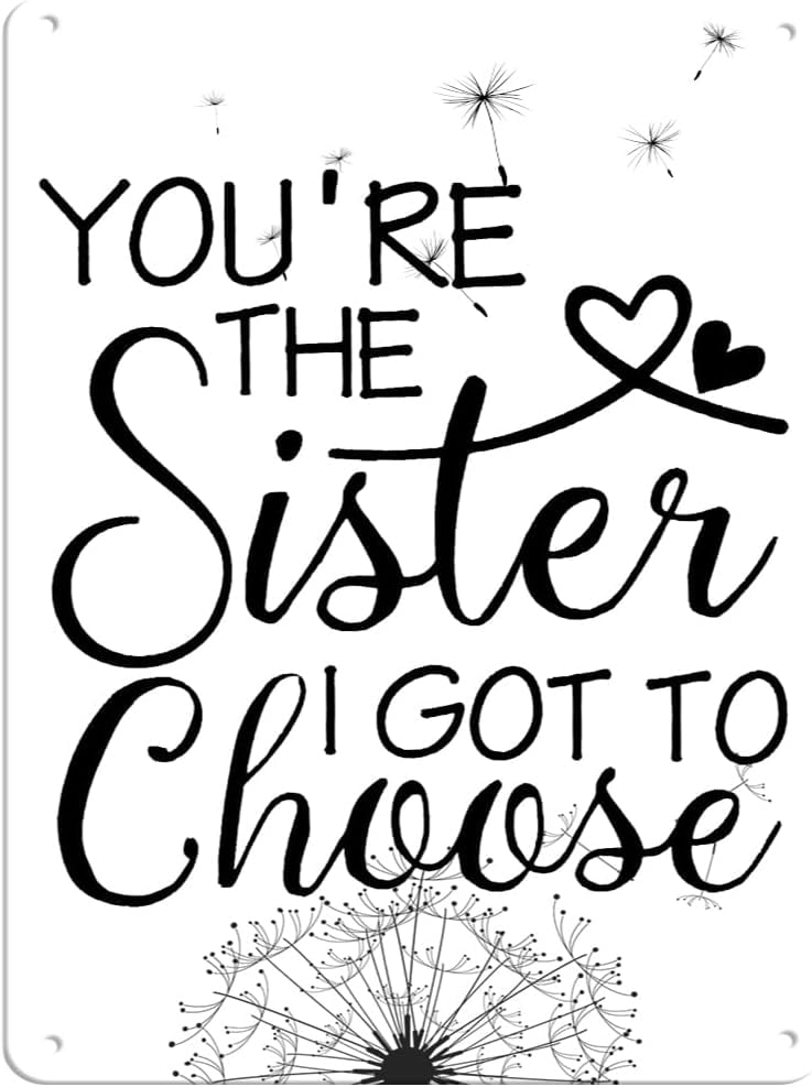 Sister Gifts for Women from Sister, You are The Sister I Got to Choose ...