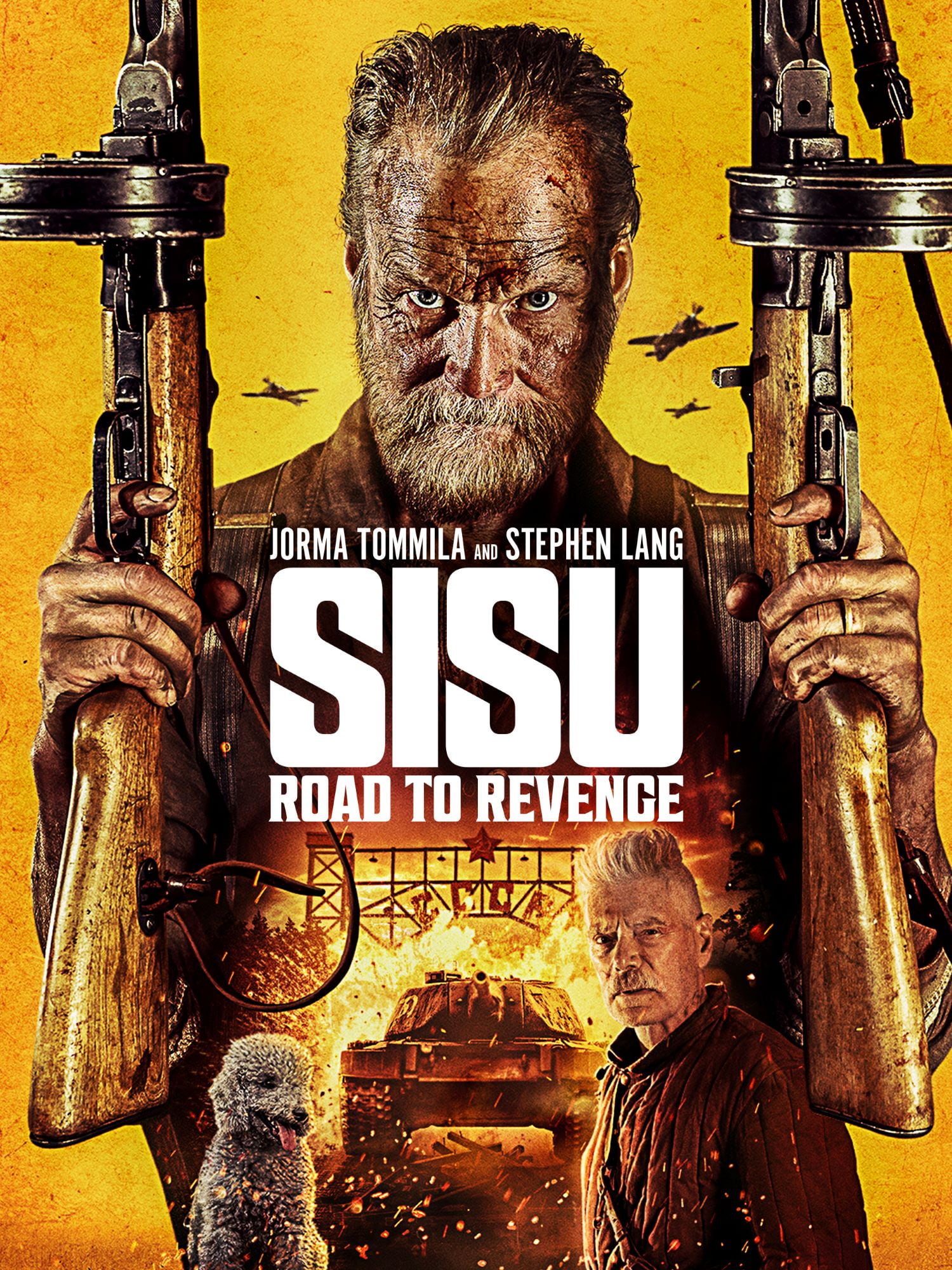 Sisu: Road to Revenge (DVD) Sony Pictures, Action & Adventure, Thriller ...