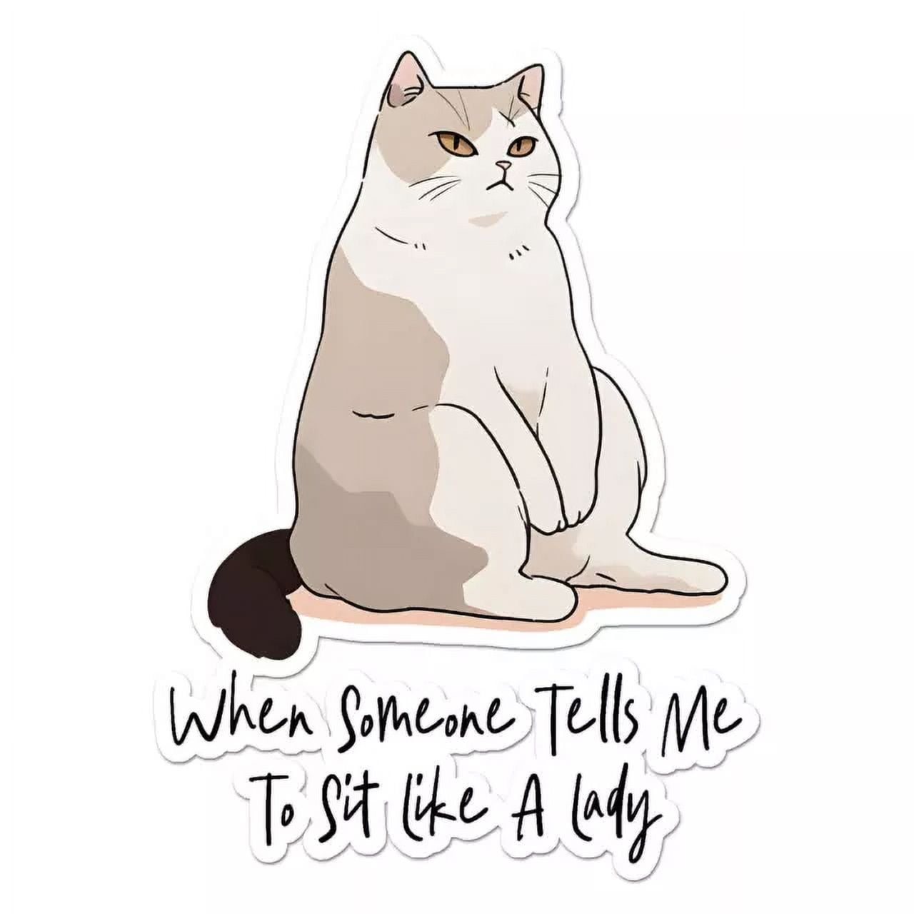 Sit Like A Lady Sticker Phone Decal Water Bottle Stickers Car Decals ...