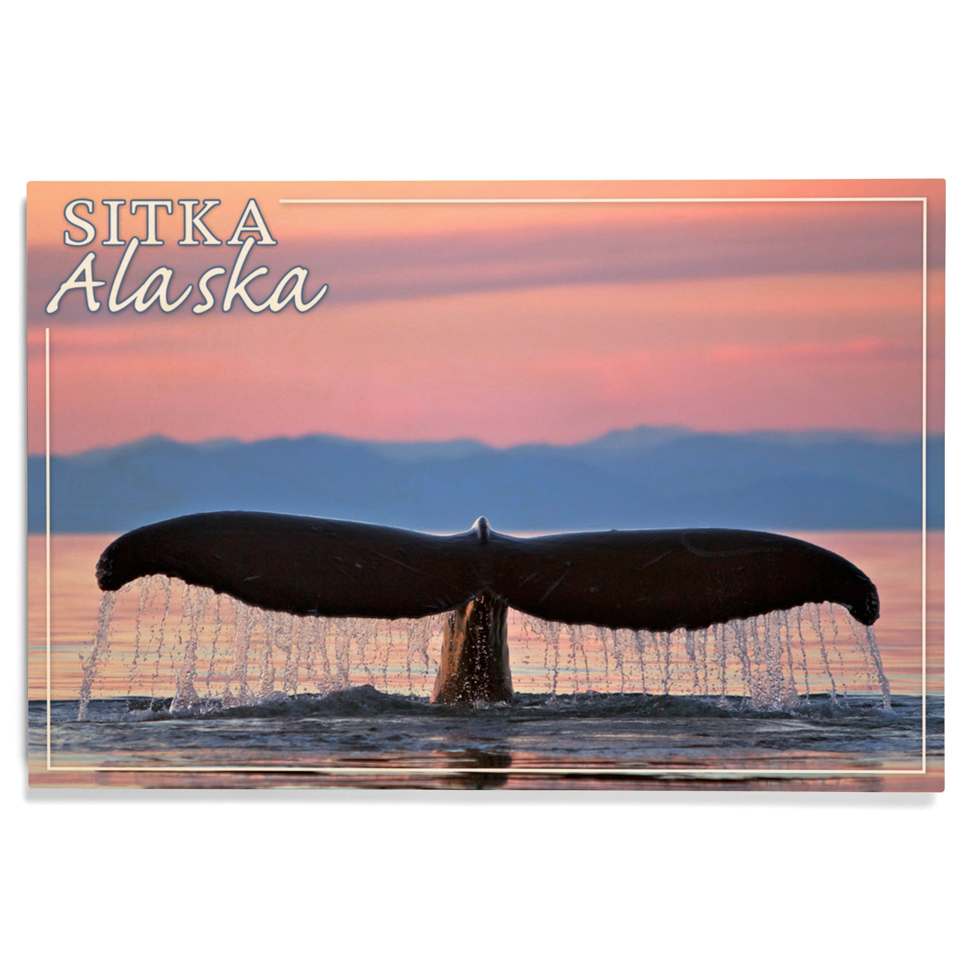 Sitka, Alaska, Humpback Fluke and Sunset Birch Wood Wall Sign (12x18 ...