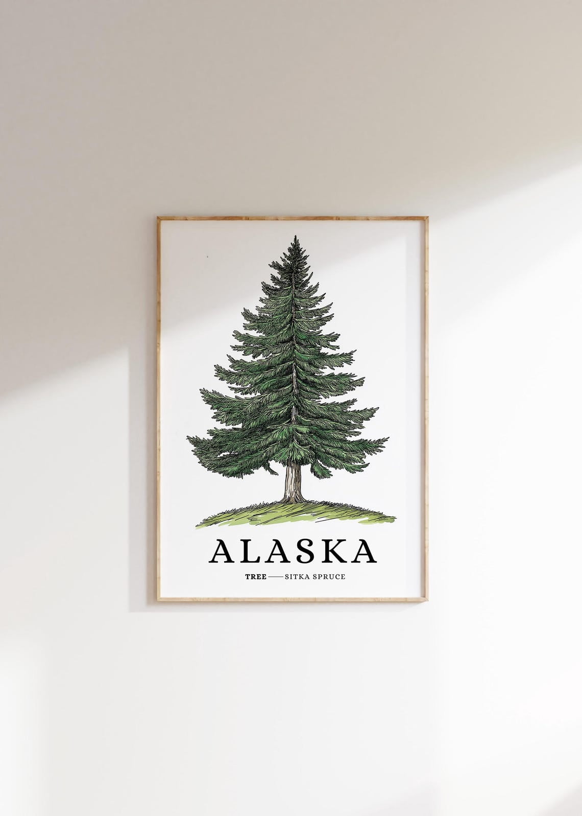 Sitka Spruce Tree Poster: Alaska State Symbol, Botanical Art, Unframed ...