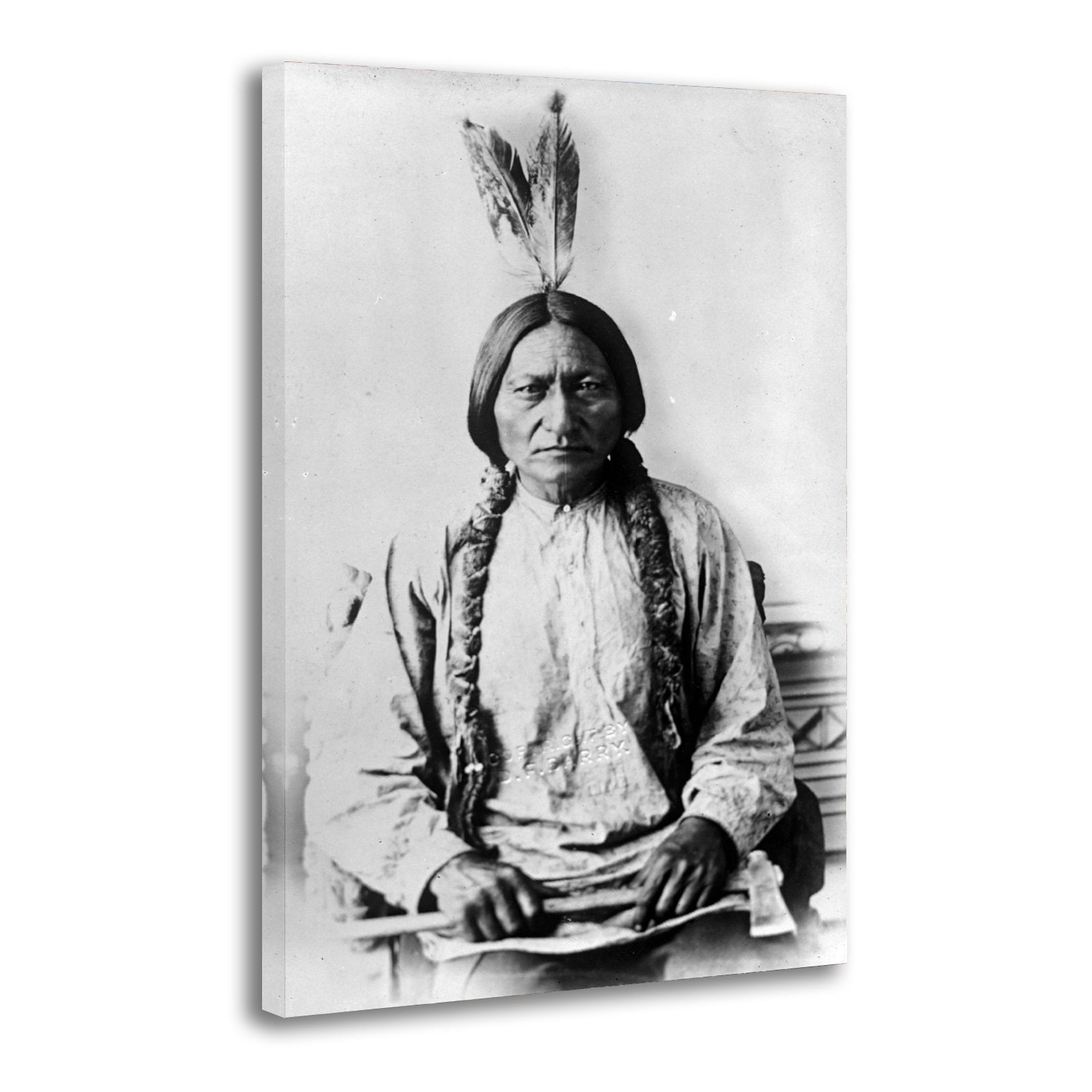 Sitting Bull Native American Indian Sioux 1883 Poster Decorative ...