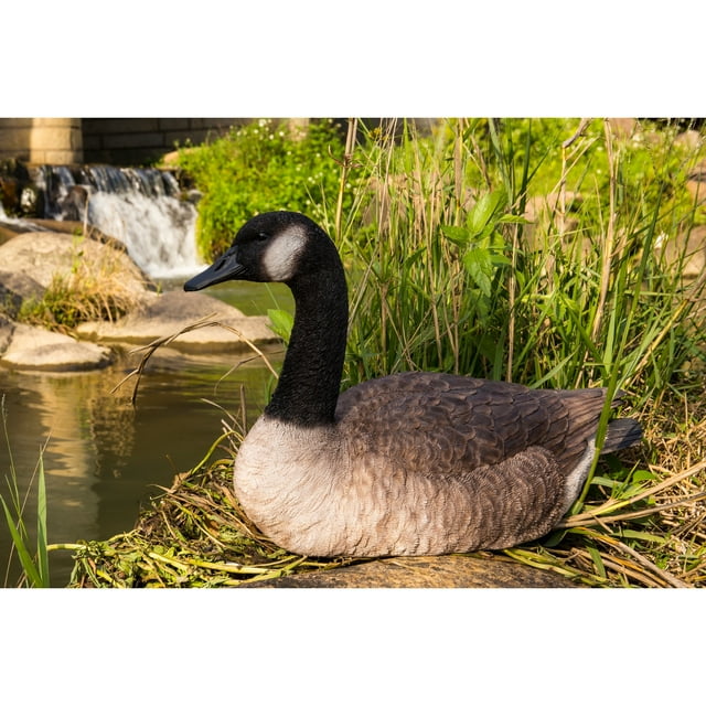 Sitting Canadian Goose Garden Statue - Walmart.com