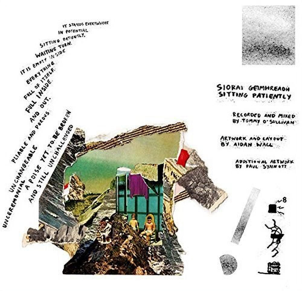 Sitting Patiently (Vinyl) - Walmart.com