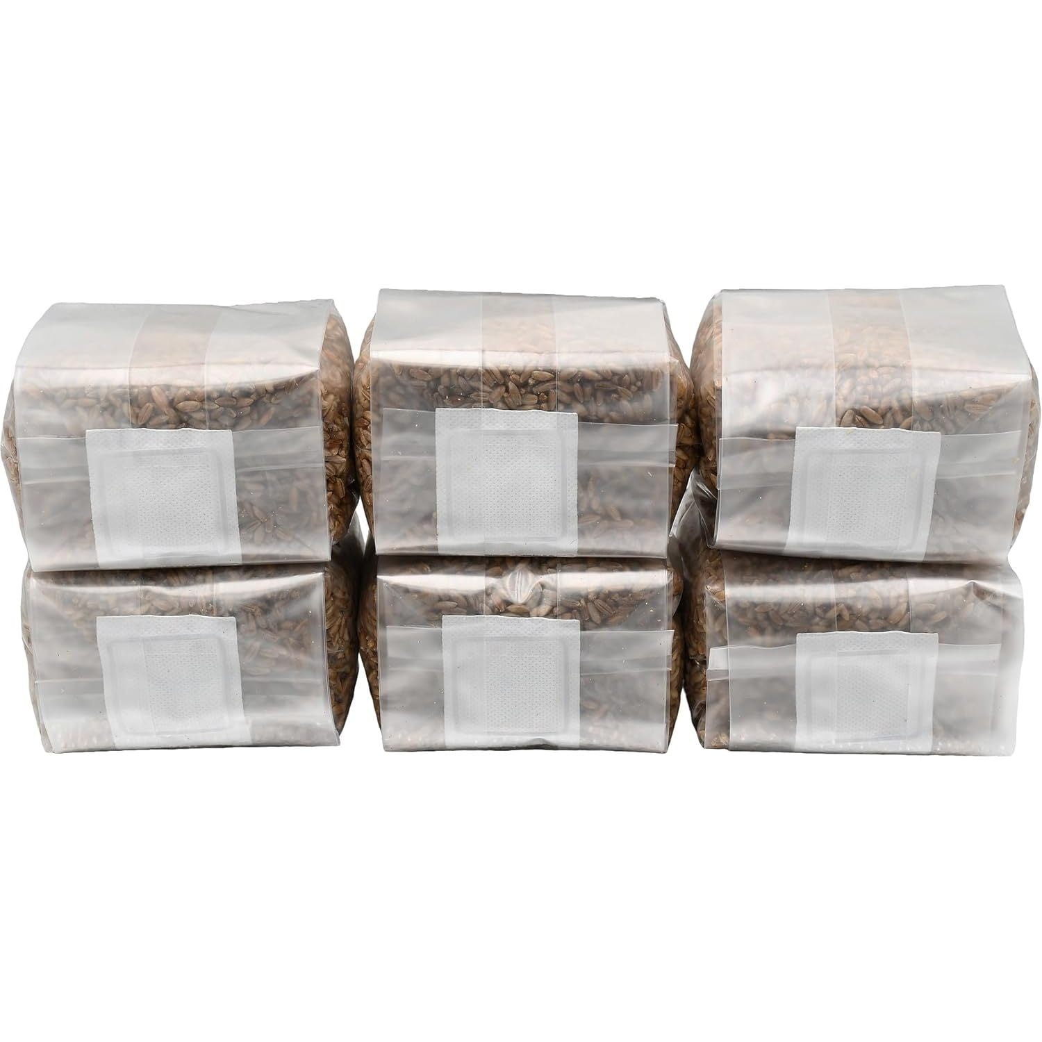 Six 1 Pound Bags of Sterilized Rye Berries Substrate in Mushroom Grow ...