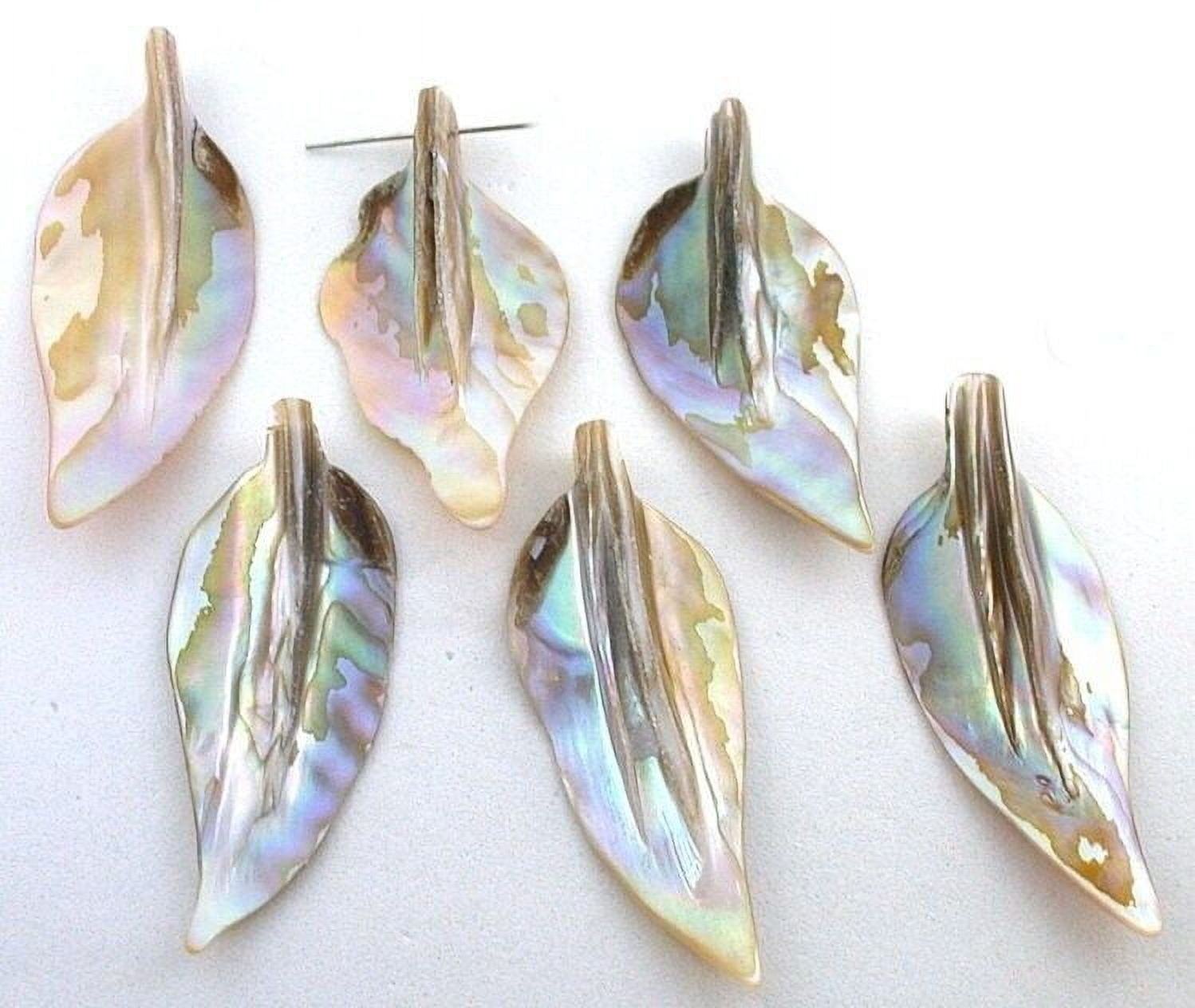 Six 2 1/5 To 2 1/2 Inch Carved Abalone Shell Leaf Bead Carving ES8982B ...