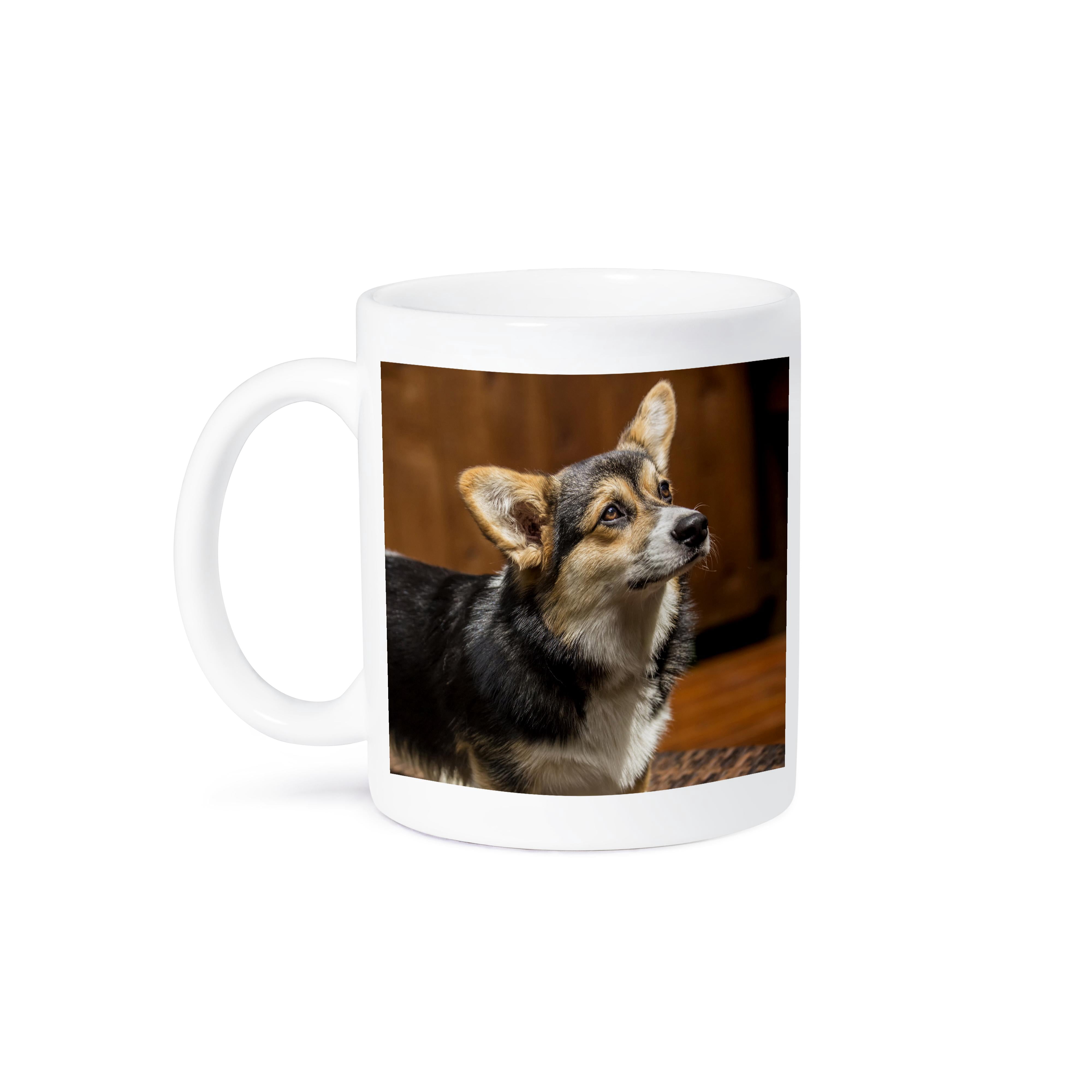 Six Month Old Corgi Puppy Posing On A Lawn Chair. , 15oz Mug - Walmart.com