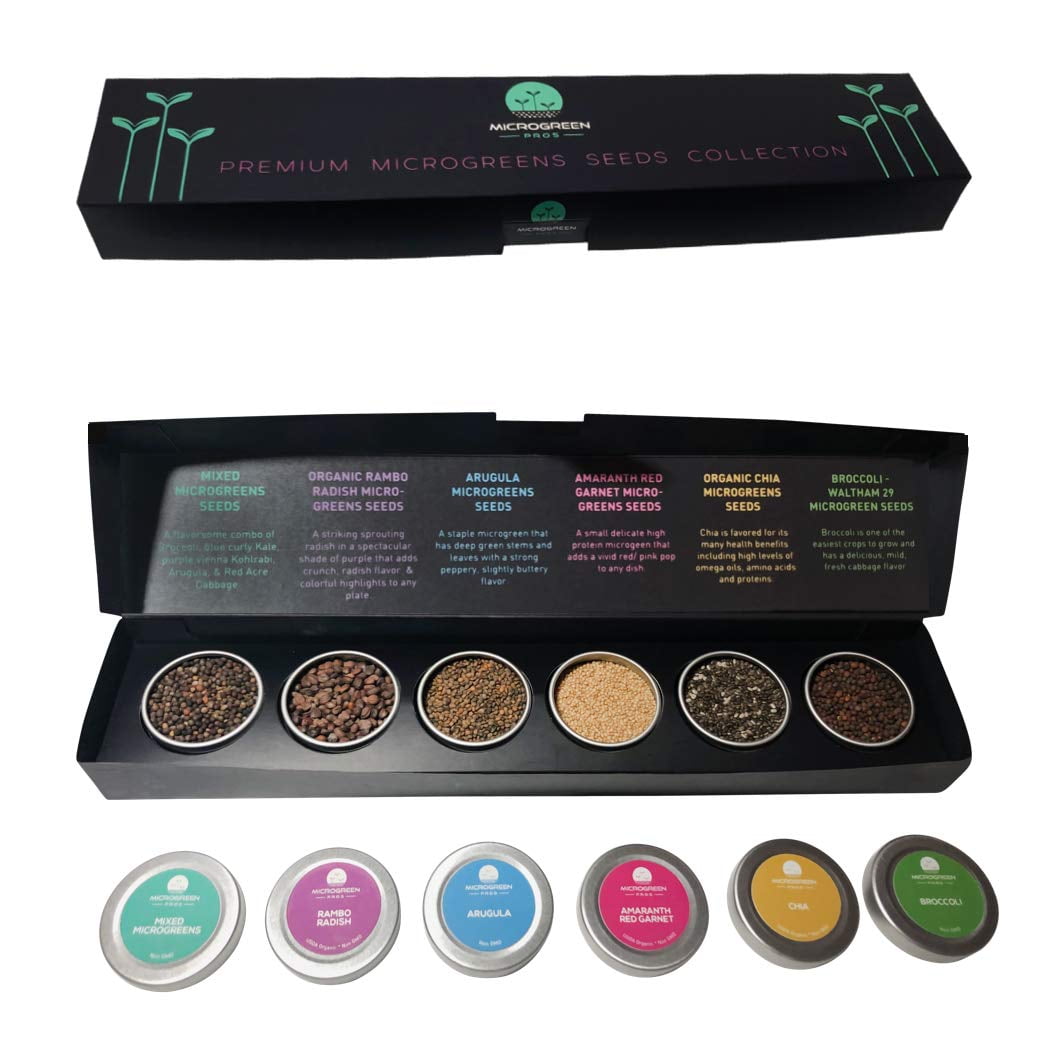 Six Premium Microgreens Seeds Kit, Over ITL1 30,000 Seeds - 100% Non GMO - Arugula, Broccoli ...