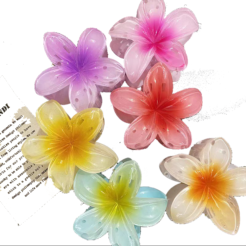 Six colors Gradient Flower Hair Styling Accessories Set Beach Style ...