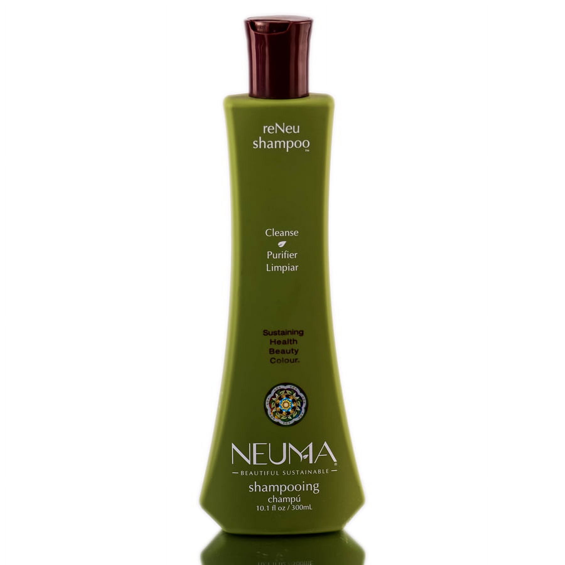 Size : 10.1 oz , Neuma Renew Shampoo, hair scalp beauty - Pack of 1 w ...