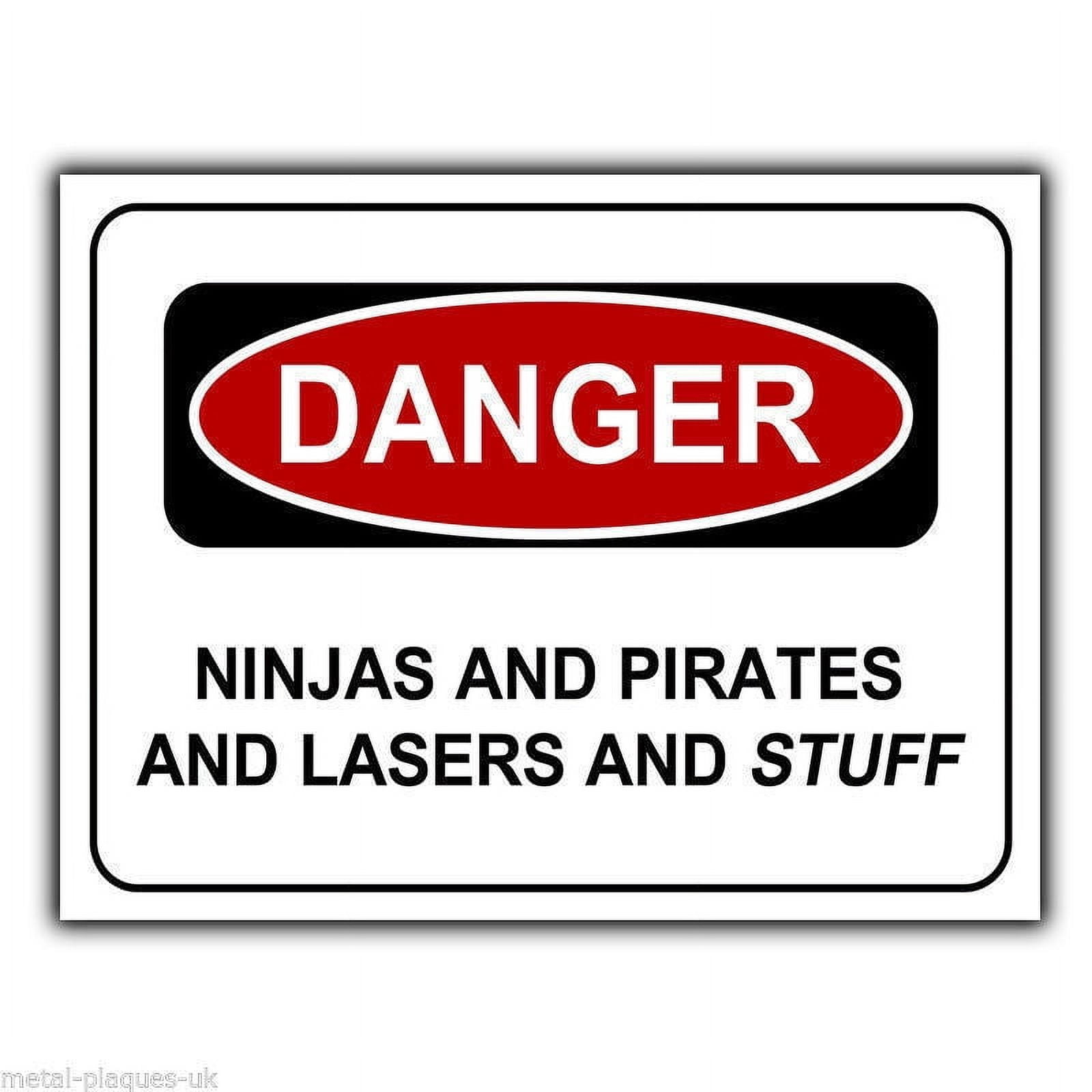 (Size: 8x12 inches) DANGER NINJAS AND PIRATES AND LASERS AND STUFF ...