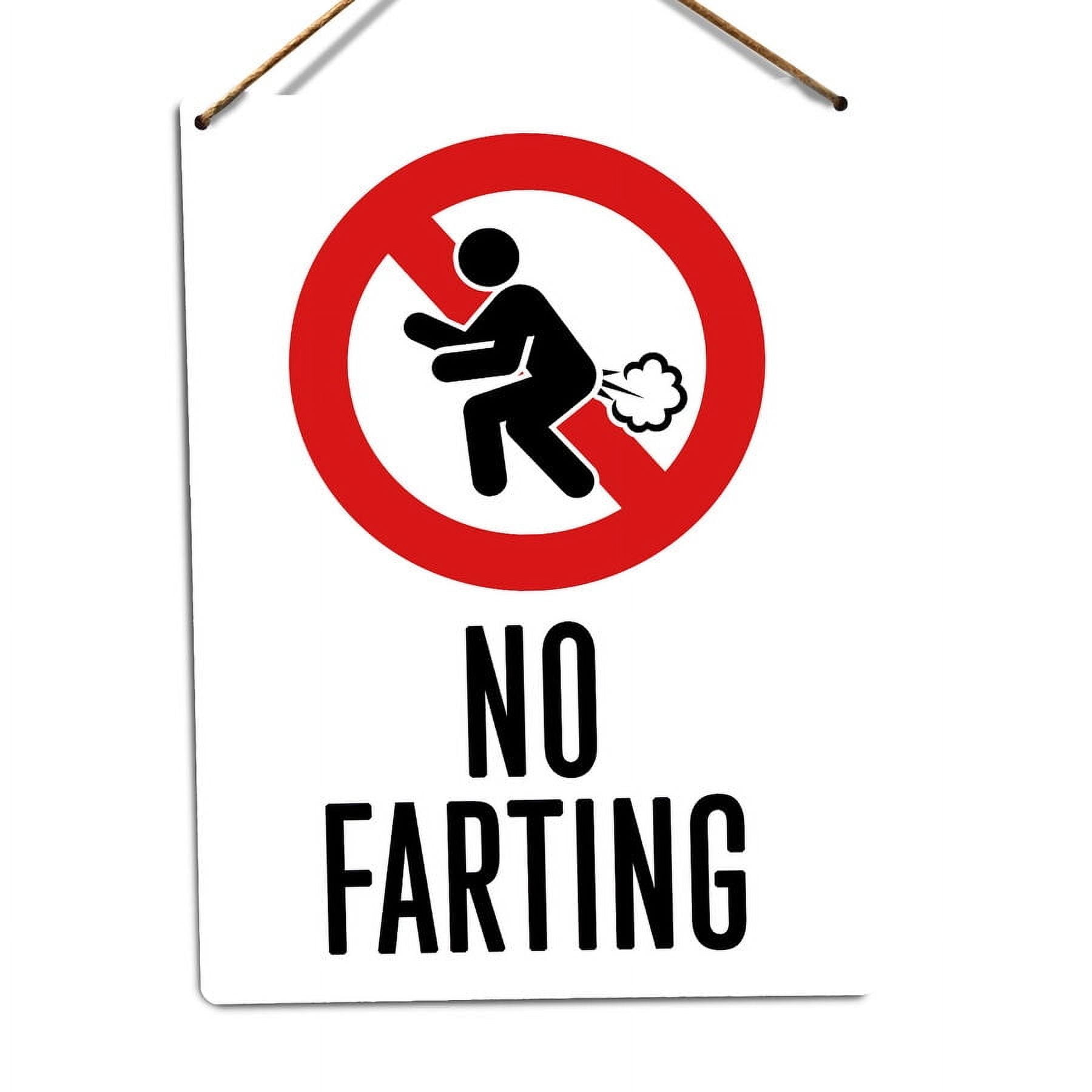 Size: 8x12 inches Metal Wall Sign No Farting Funny Gift Rude Toilet ...