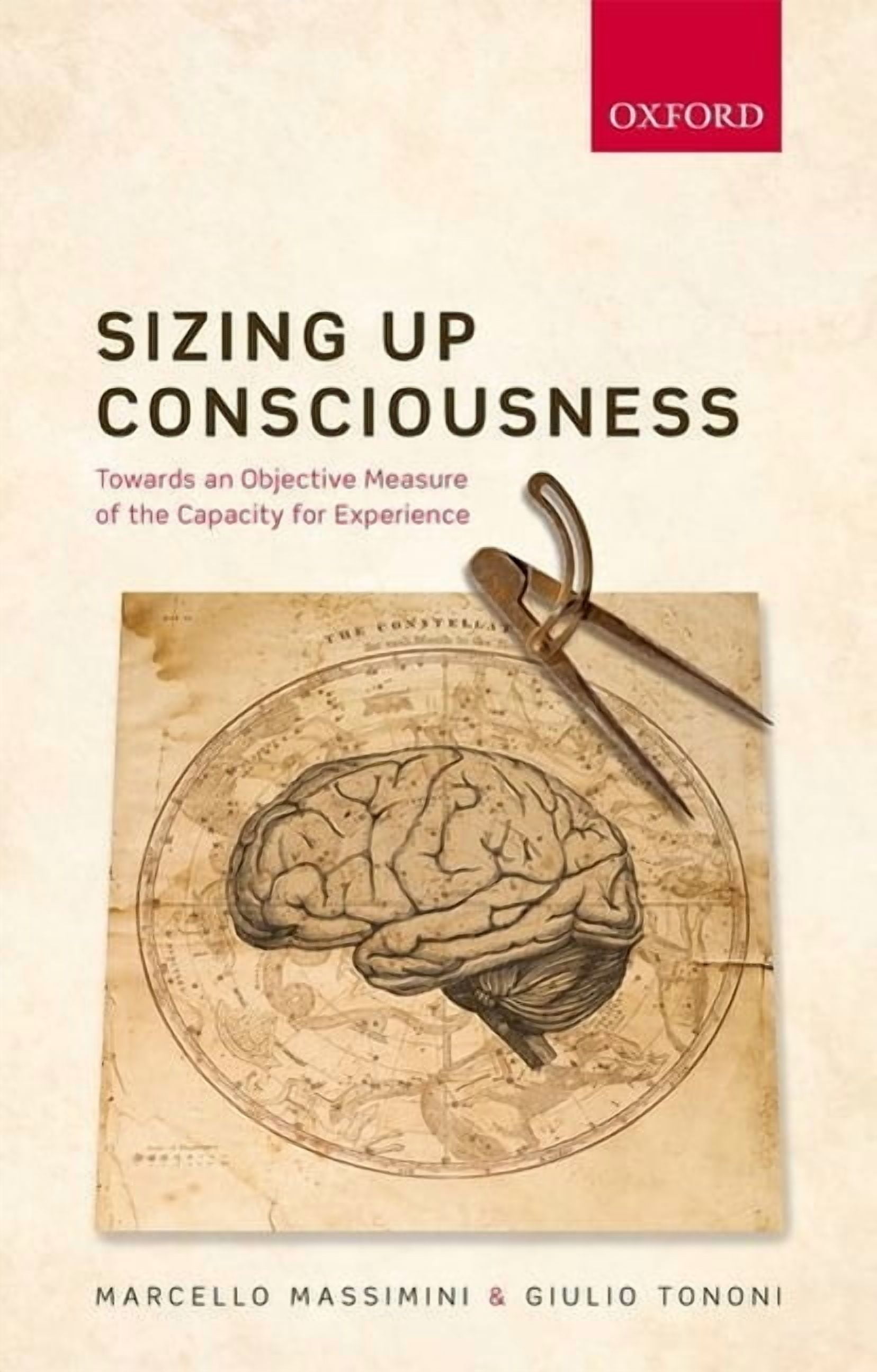 Sizing Up Consciousness: Towards an Objective Measure of the Capacity ...